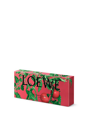 Home Scents | LOEWE Perfumes