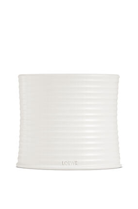 Essential Selection | LOEWE Perfumes