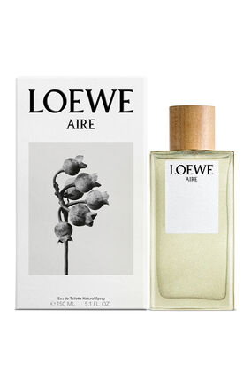Descubre todos los productos de LOEWE Aire