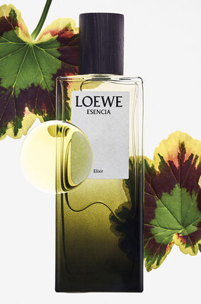 Elixir Perfumes & Colognes | LOEWE Perfumes