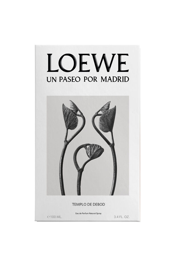 Buy online LOEWE Un Paseo Por Madrid 'Templo de Debod' | LOEWE Perfumes