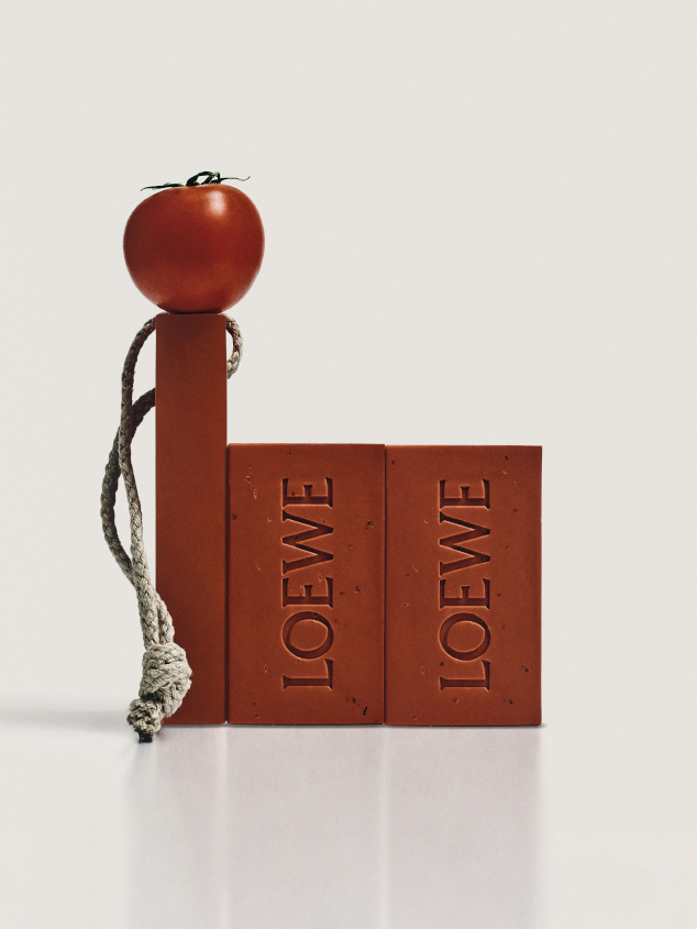 LOEWE Perfumes | Colour. Scent. Emotion.