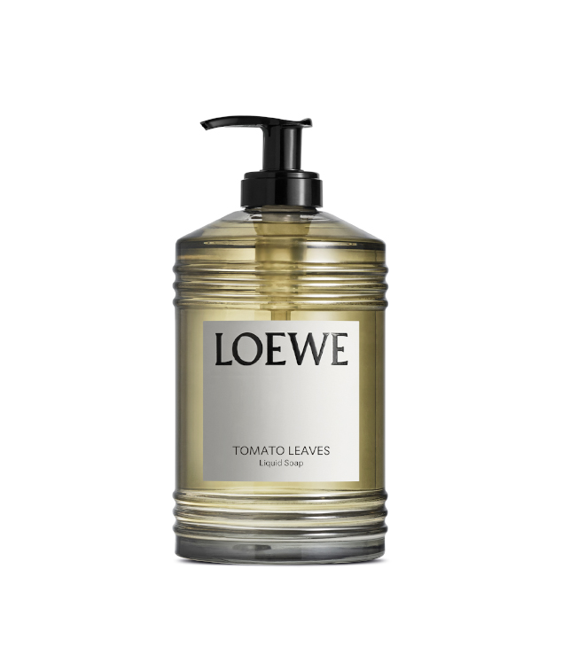 LOEWE Perfumes | Colour. Scent. Emotion.