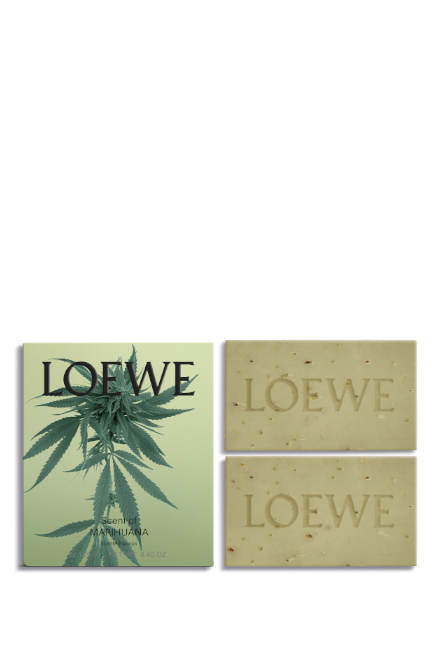 LOEWE Perfumes | Colour. Scent. Emotion.