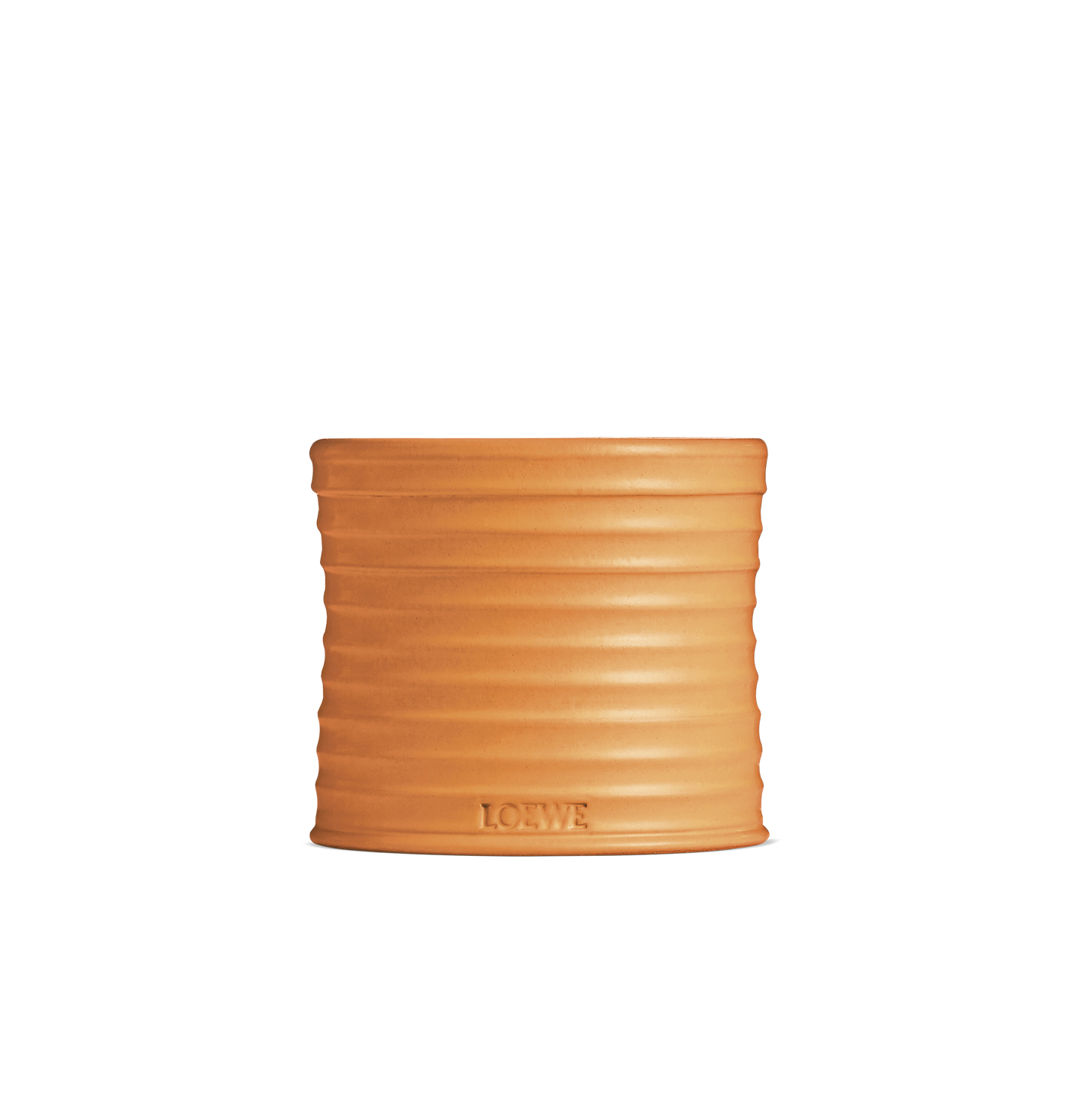 LOEWE Perfumes | Colour. Scent. Emotion.