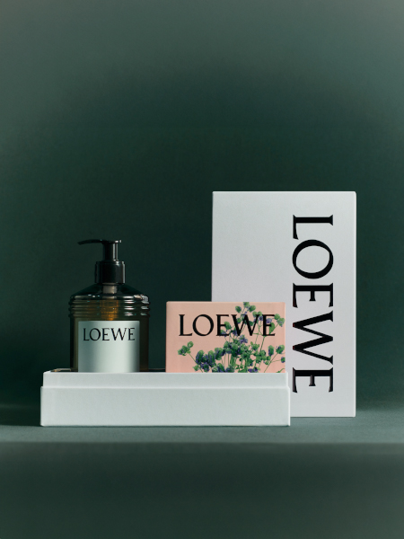 LOEWE Perfumes | Colour. Scent. Emotion.