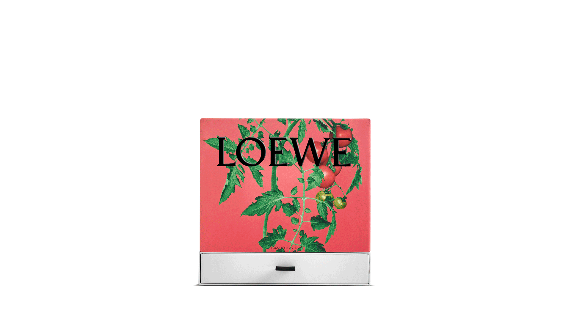 LOEWE Perfumes | Spanish Luxury Perfumes & Scents