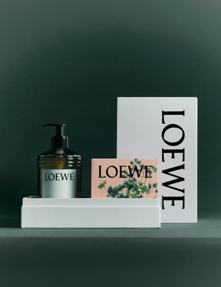 LOEWE Perfumes | Colour. Scent. Emotion.