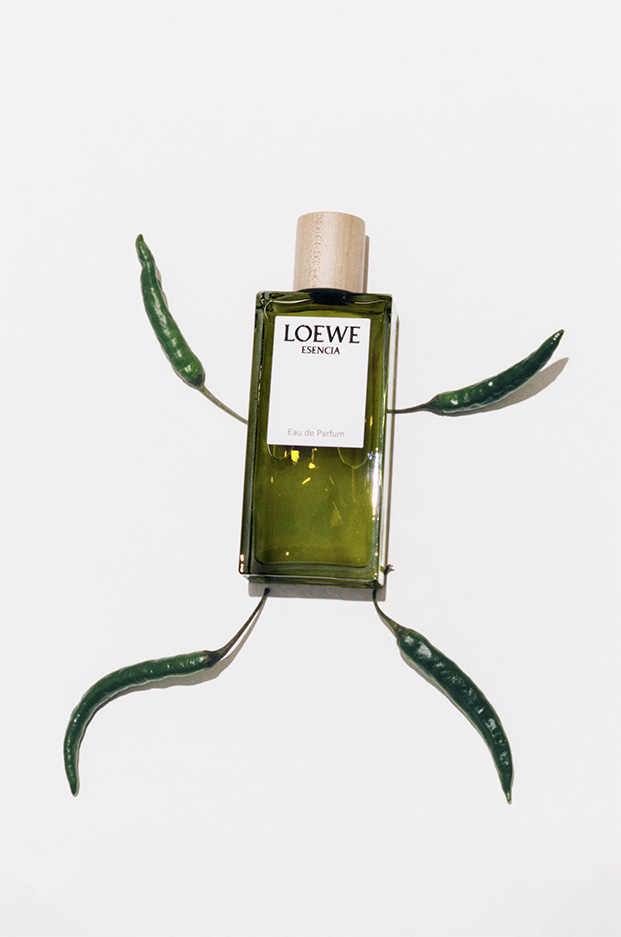 LOEWE Perfumes | Colour. Scent. Emotion.