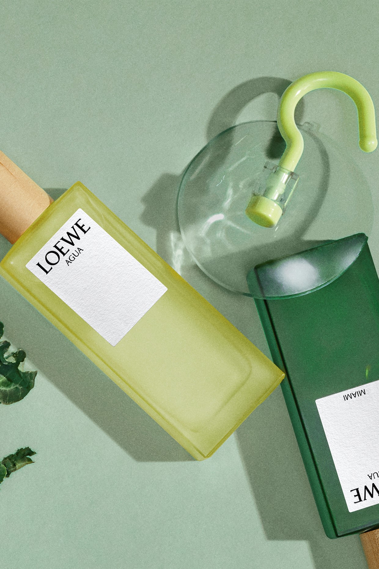 LOEWE Perfumes | Colour. Scent. Emotion.