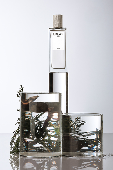 LOEWE Perfumes - Our stores