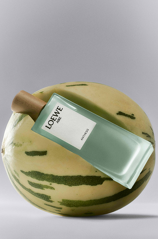 Sample Box | LOEWE Perfumes