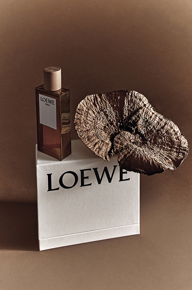 LOEWE Perfumes | Colour. Scent. Emotion.
