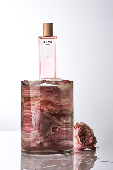 LOEWE Perfumes | Colour. Scent. Emotion.